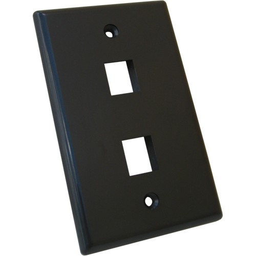 2-PORT-WALL PLATE, FITS 300 SERIES